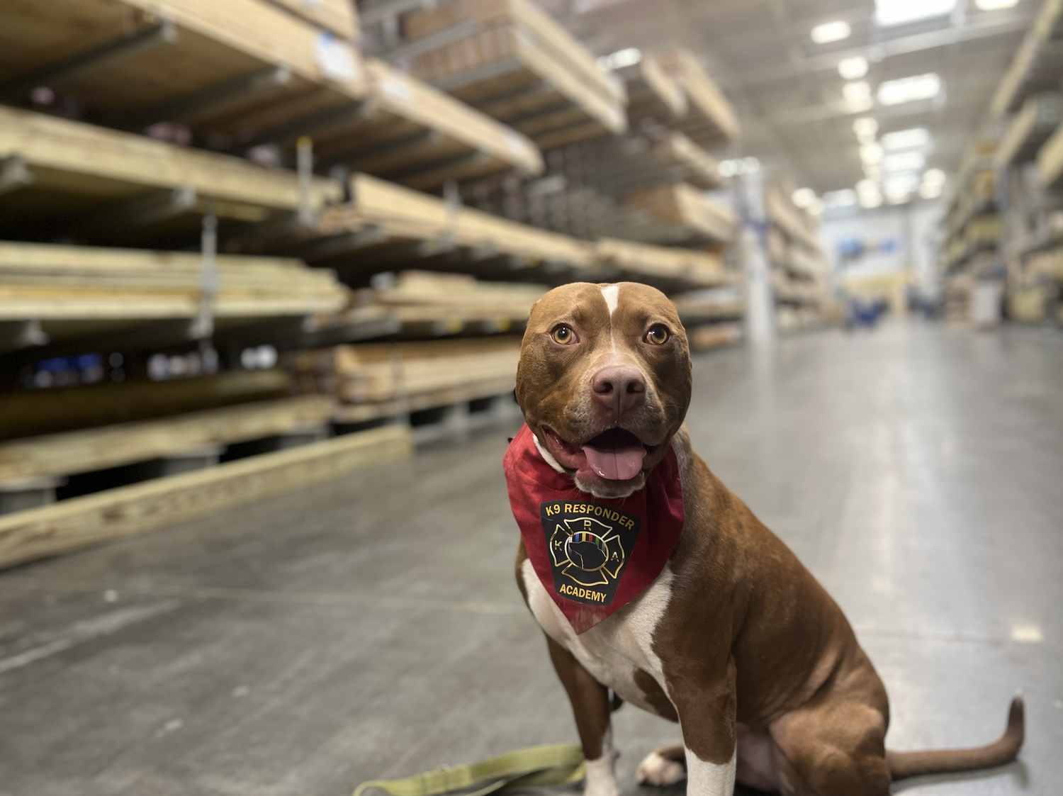 K9 Responder Academy